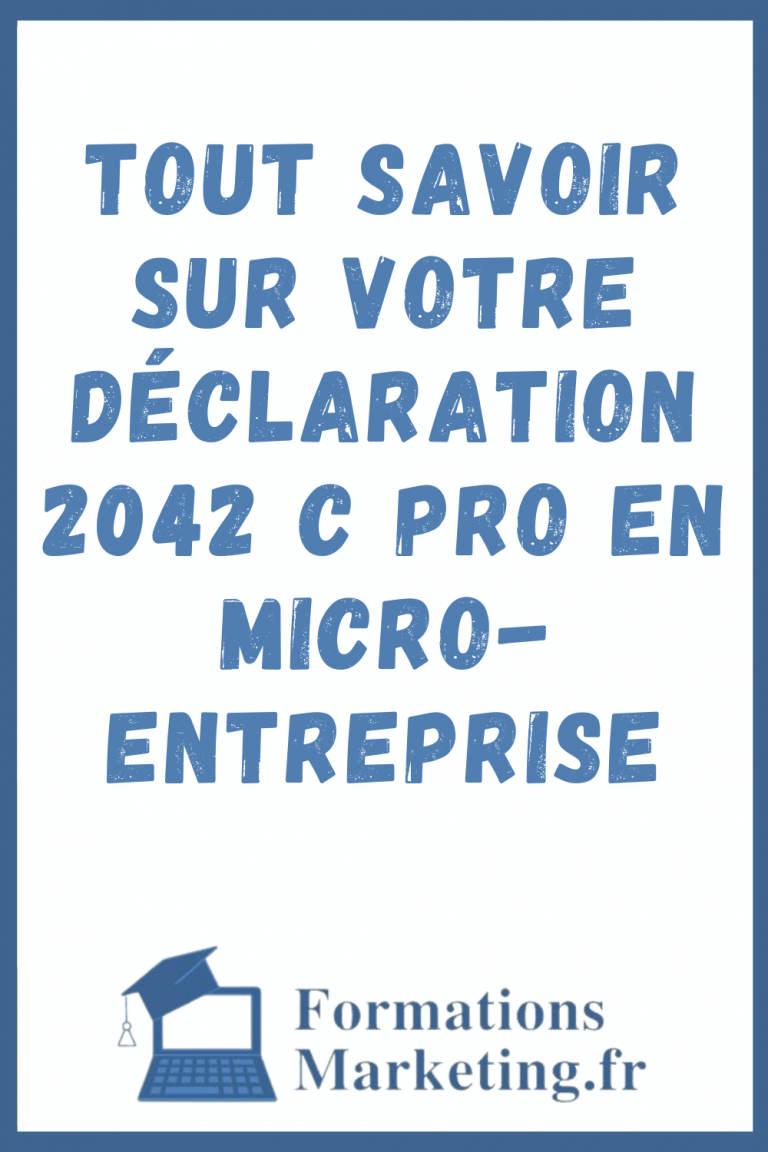 Tout Savoir Sur Votre Déclaration 2042 C Pro En Micro-entreprise